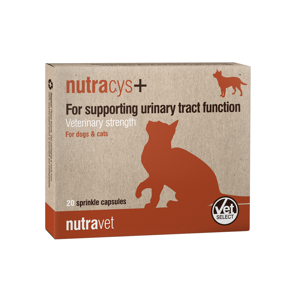 Nutracys - urinary health especially cats